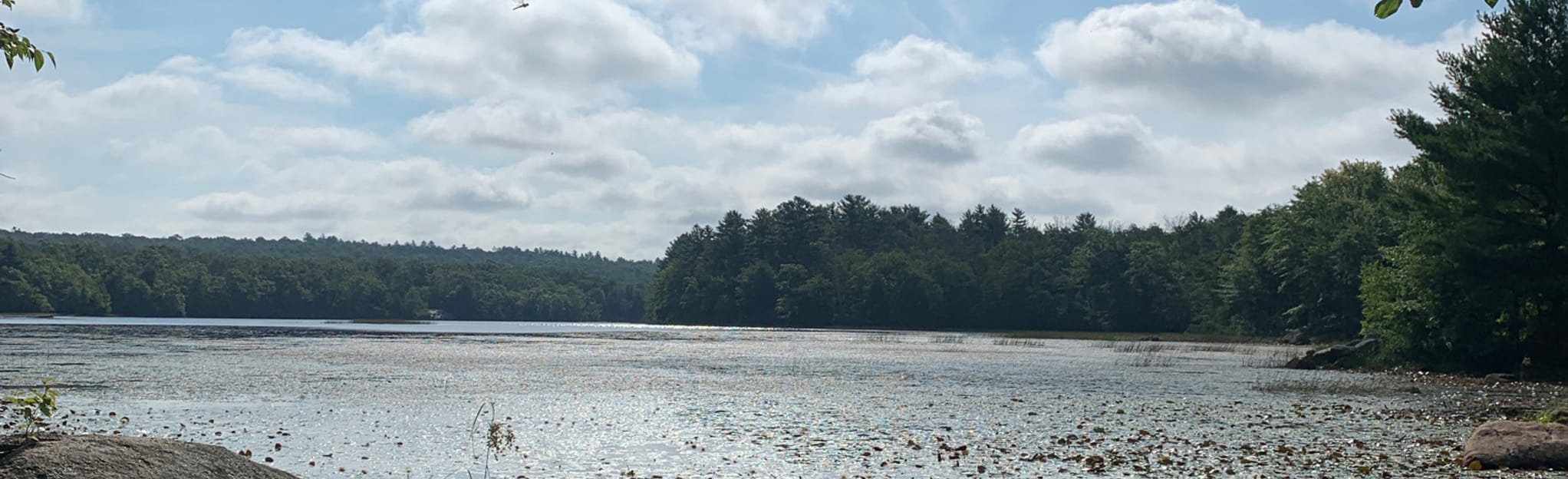 Main St to Camp Yawgoog Rd via Narragansett Trail, Rhode Island - 104 ...