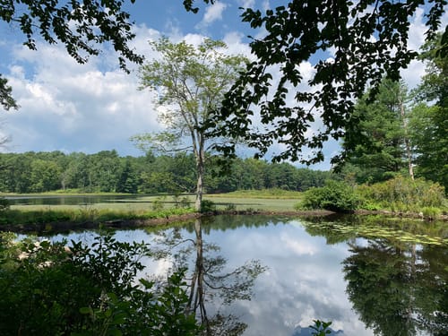 2023 Best 10 Lake Trails in Sandyston Township | AllTrails