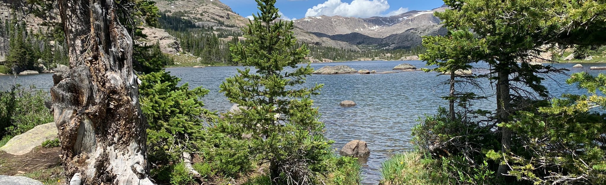 Mistymoon Trail, Wyoming - 173 Reviews, Map | AllTrails