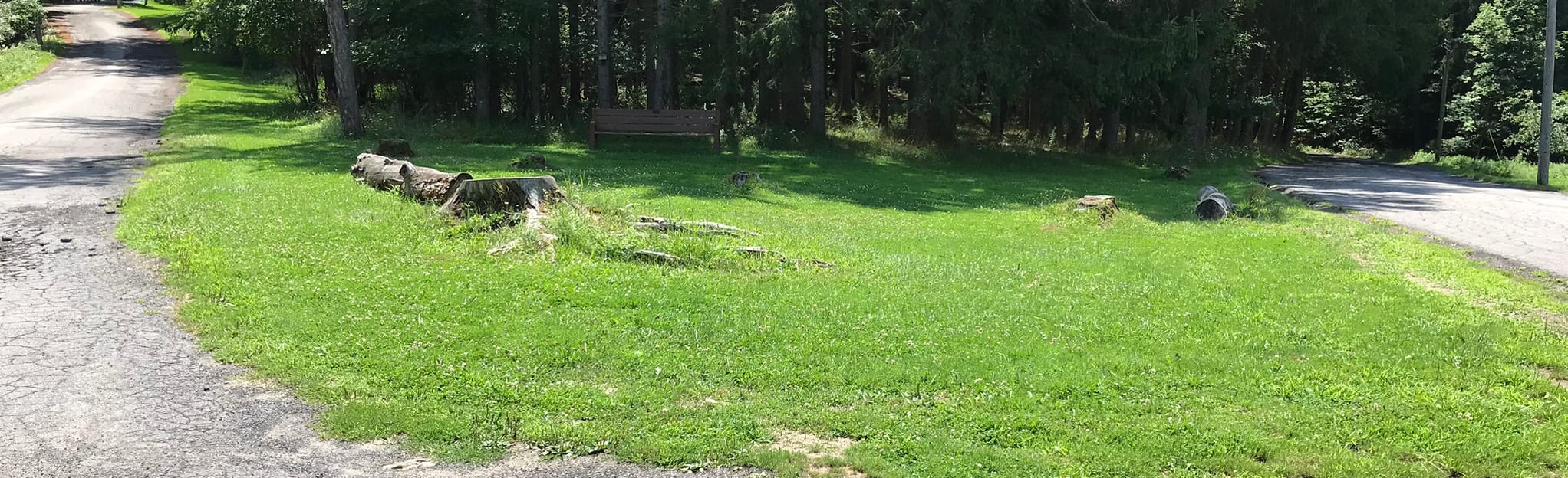 Russell Park: 76 Reviews, Map - New York | AllTrails