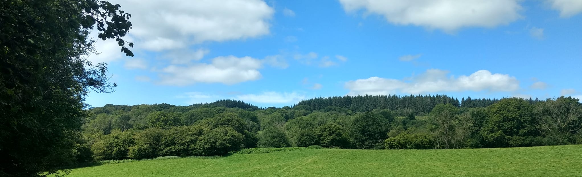 Sarn Helen, Fforest Fawr, Powys, Wales - 4 Reviews, Map | AllTrails