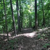 Lost Spring Trail, Tennessee - 80 Reviews, Map | AllTrails