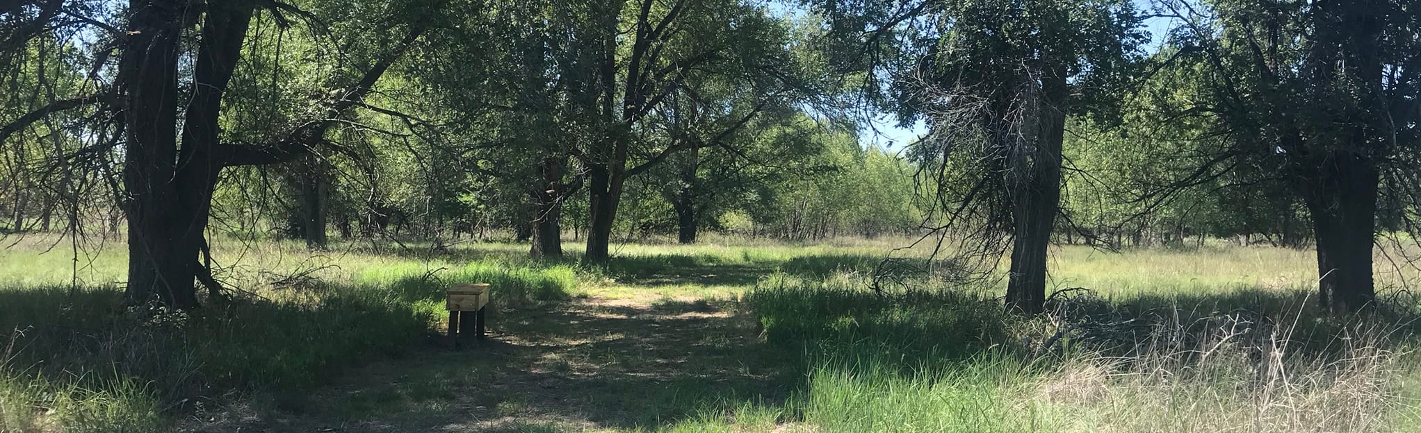 Meade State Park Natural Trail: CCC Loop: 10 Reviews, Map - Kansas ...