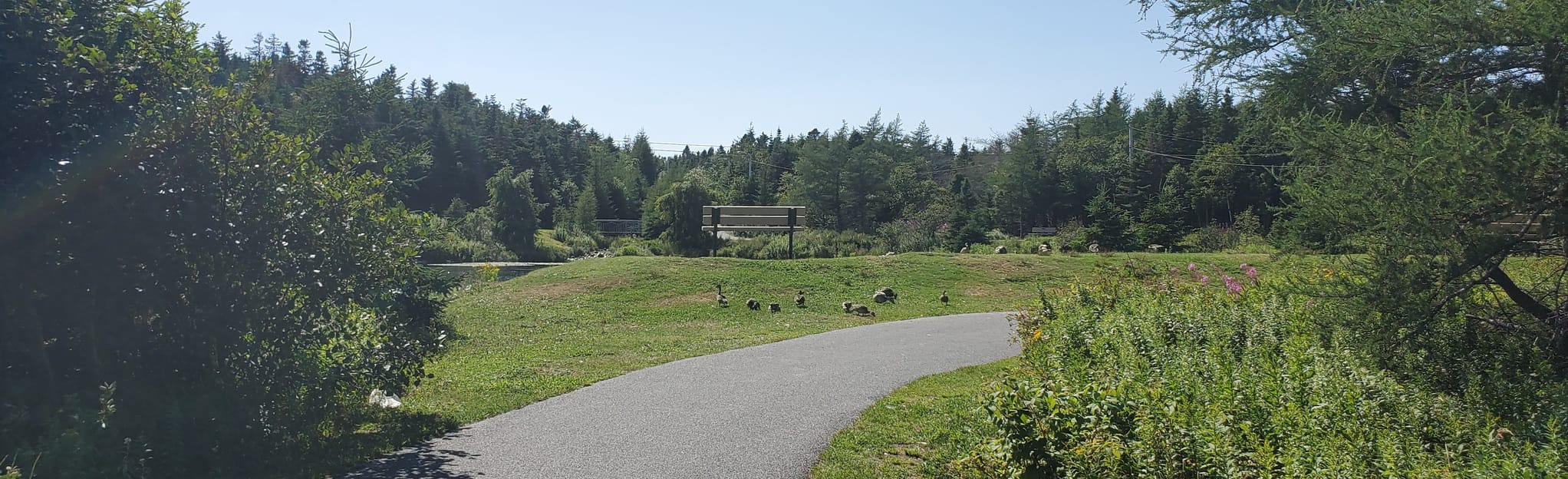Trailway and Powers Pond Loop: 19 Reviews, Map - Newfoundland and ...