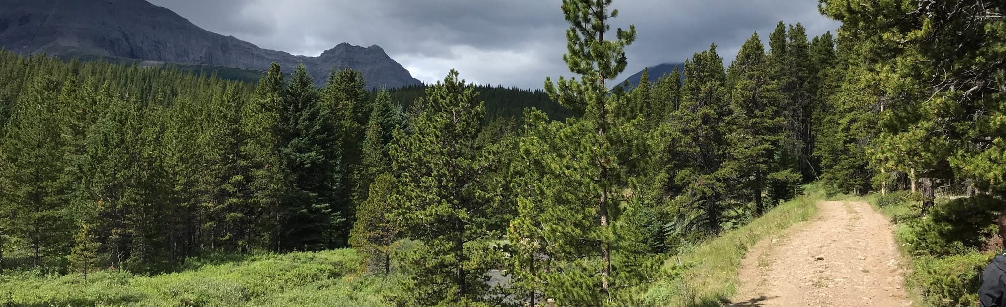 Memory Lake Trail to Mount Lyall Loop: 0 Reviews, Map - Alberta, Canada ...