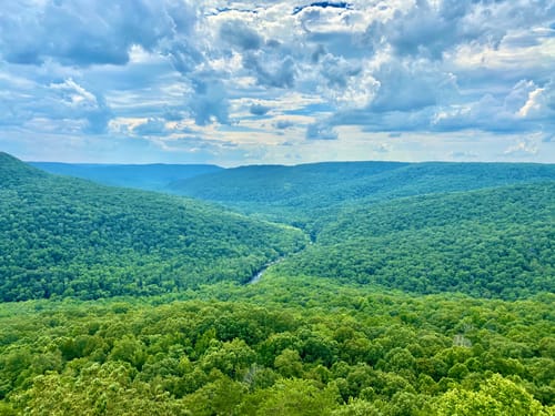 Best Hikes and Trails in Bridgestone Firestone Centennial Wilderness ...