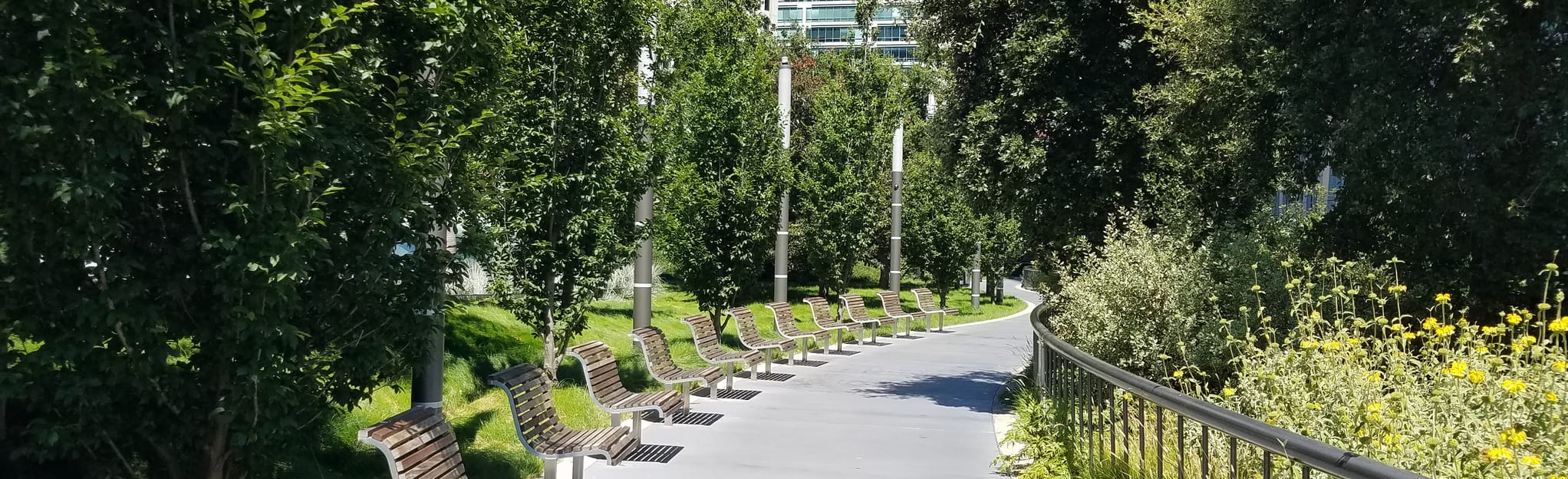 Salesforce Park Loop: 153 Reviews, Map - California | AllTrails