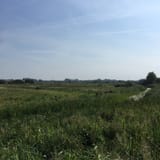 Stodmarsh NNR Circular, Kent, England - 89 Reviews, Map | AllTrails