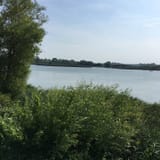 Stodmarsh NNR Circular, Kent, England - 89 Reviews, Map | AllTrails