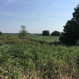 Stodmarsh NNR Circular, Kent, England - 89 Reviews, Map | AllTrails