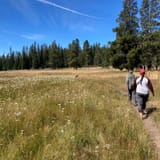 Gilbert Peak and Warm Lake Trail, Washington - 117 Reviews, Map | AllTrails