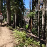 Gilbert Peak and Warm Lake Trail, Washington - 120 Reviews, Map | AllTrails