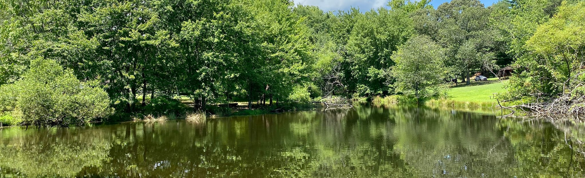 Calvert Cliffs Silver Trail Loop, Maryland - 23 Reviews, Map | AllTrails