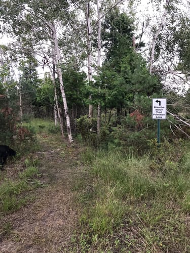 Best Hikes and Trails in North Point Park | AllTrails