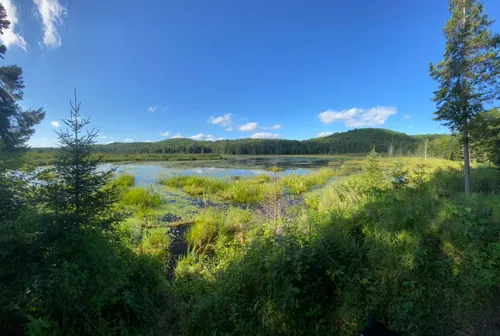 Best 10 Hiking Trails in Arrowhead Provincial Park | AllTrails