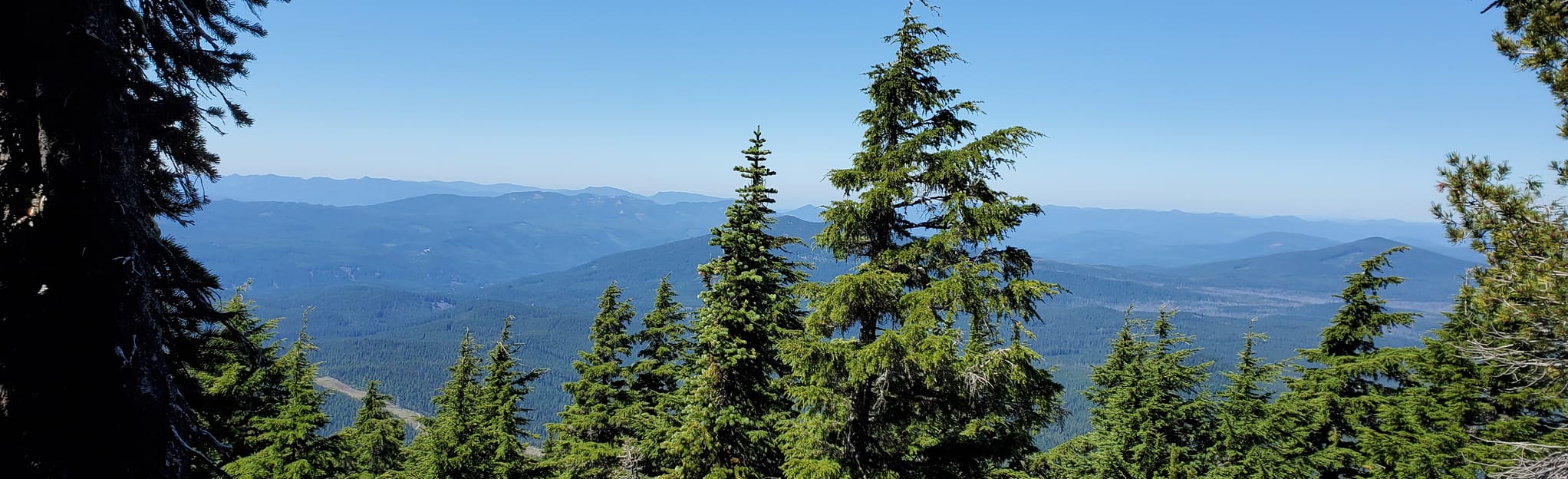 Olallie Butte: 97 Reviews, Map - Oregon | AllTrails