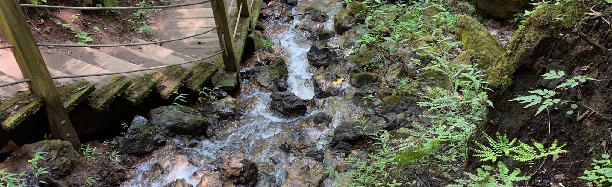 Foxfire Mountain Trail [PRIVATE PROPERTY], Tennessee - 43 Reviews, Map ...