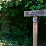 Four County Point Trail, Oregon - 104 Reviews, Map | AllTrails