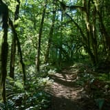Four County Point Trail, Oregon - 105 Reviews, Map | AllTrails