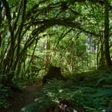 Four County Point Trail, Oregon - 104 Reviews, Map | AllTrails