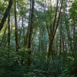Four County Point Trail, Oregon - 116 Reviews, Map | AllTrails