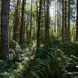 Four County Point Trail, Oregon - 116 Reviews, Map | AllTrails
