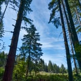 Four County Point Trail, Oregon - 116 Reviews, Map | AllTrails