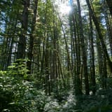 Four County Point Trail, Oregon - 116 Reviews, Map | AllTrails