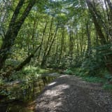 Four County Point Trail, Oregon - 116 Reviews, Map | AllTrails
