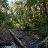 Four County Point Trail, Oregon - 116 Reviews, Map | AllTrails