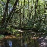 Four County Point Trail, Oregon - 116 Reviews, Map | AllTrails