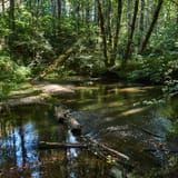 Four County Point Trail, Oregon - 116 Reviews, Map | AllTrails