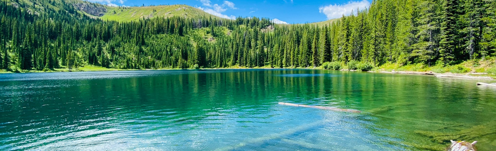 Bonanza Lakes: 22 Reviews, Map - Montana | AllTrails