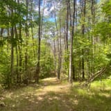 Polly Branch Falls Trail [CLOSED], Tennessee - 118 Reviews, Map | AllTrails
