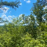 Polly Branch Falls Trail [CLOSED], Tennessee - 118 Reviews, Map | AllTrails