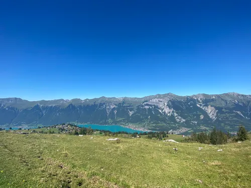 Best Forest Trails in Axalp | AllTrails