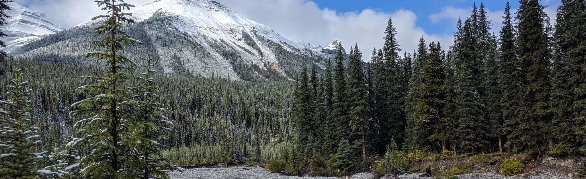 Cardinal Headwaters: 12 Reviews, Map - Alberta, Canada | AllTrails