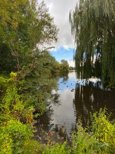 2023 Best Lake Trails in Utterslev Mose | AllTrails