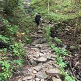 Mt. Cammerer Backpacking Loop [CLOSED], Tennessee - 36 Reviews, Map ...
