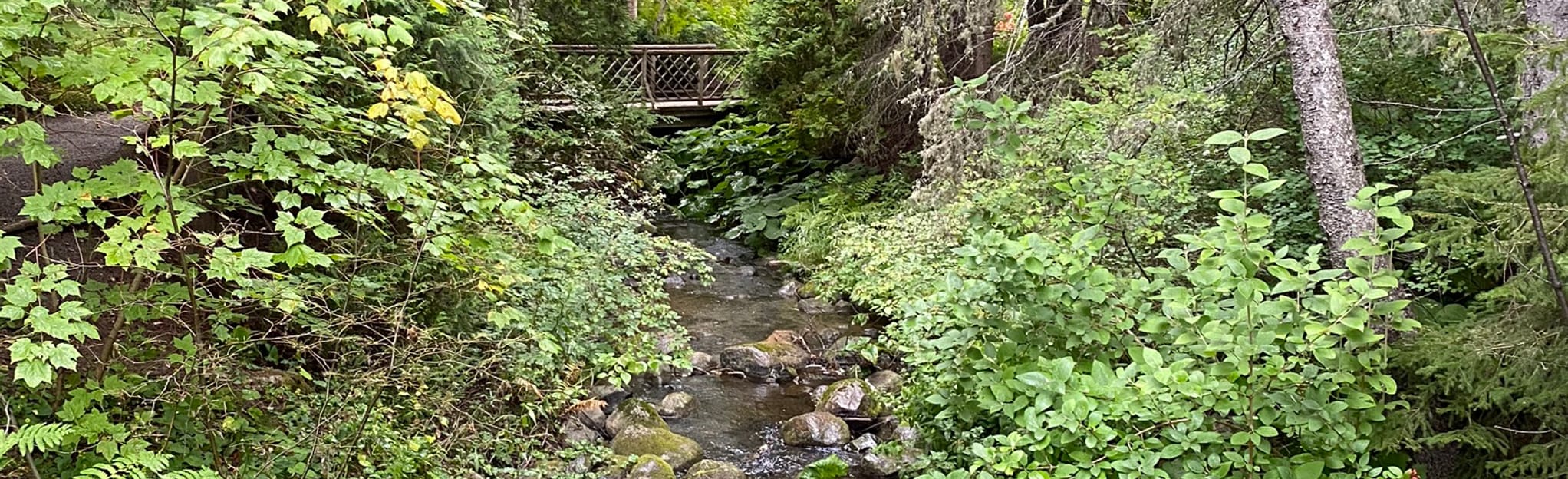 Metis Gardens, Quebec, Canada - 17 Reviews, Map | AllTrails