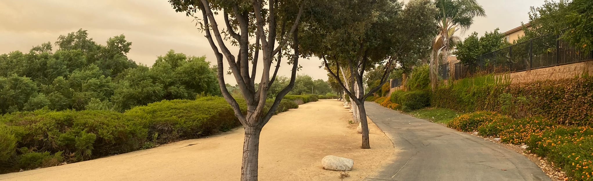 Santa Ana Riverwalk Trail: 769 Reviews, Map - California | AllTrails