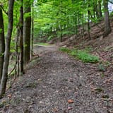 Forest Hill Park Loop, Ohio - 184 Reviews, Map | AllTrails