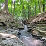 Forest Hill Park Loop, Ohio - 184 Reviews, Map | AllTrails