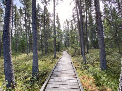 Best Hikes and Trails in Blue Lake Provincial Park | AllTrails