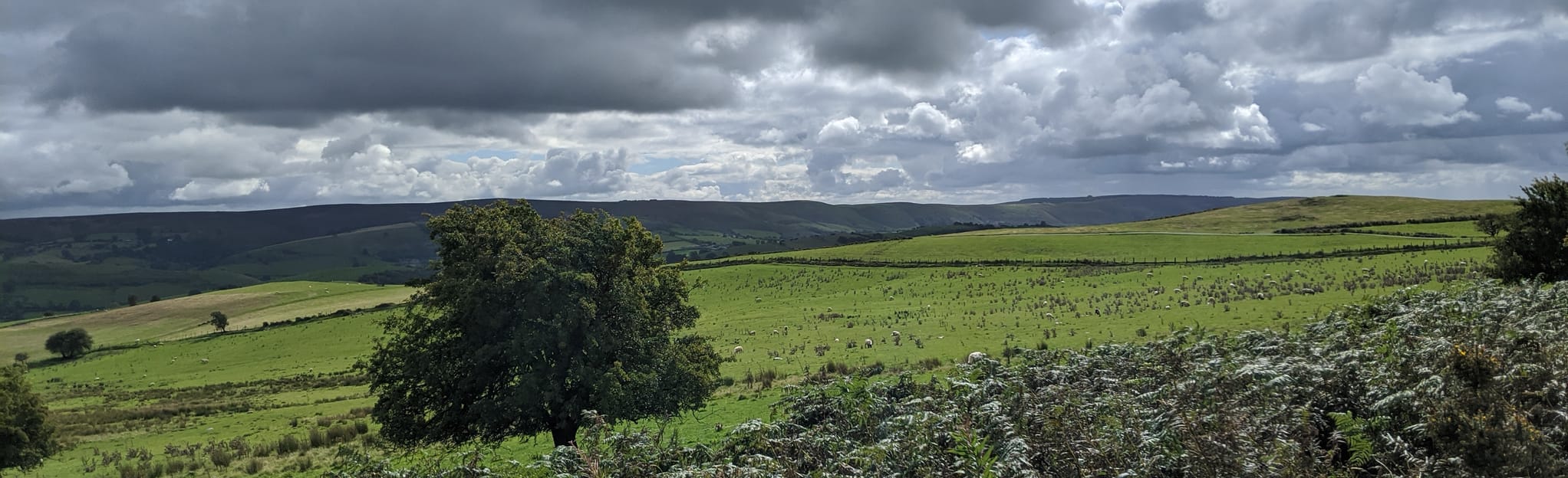 Stiperstones Ridge | Map, Guide - Shropshire, England | AllTrails