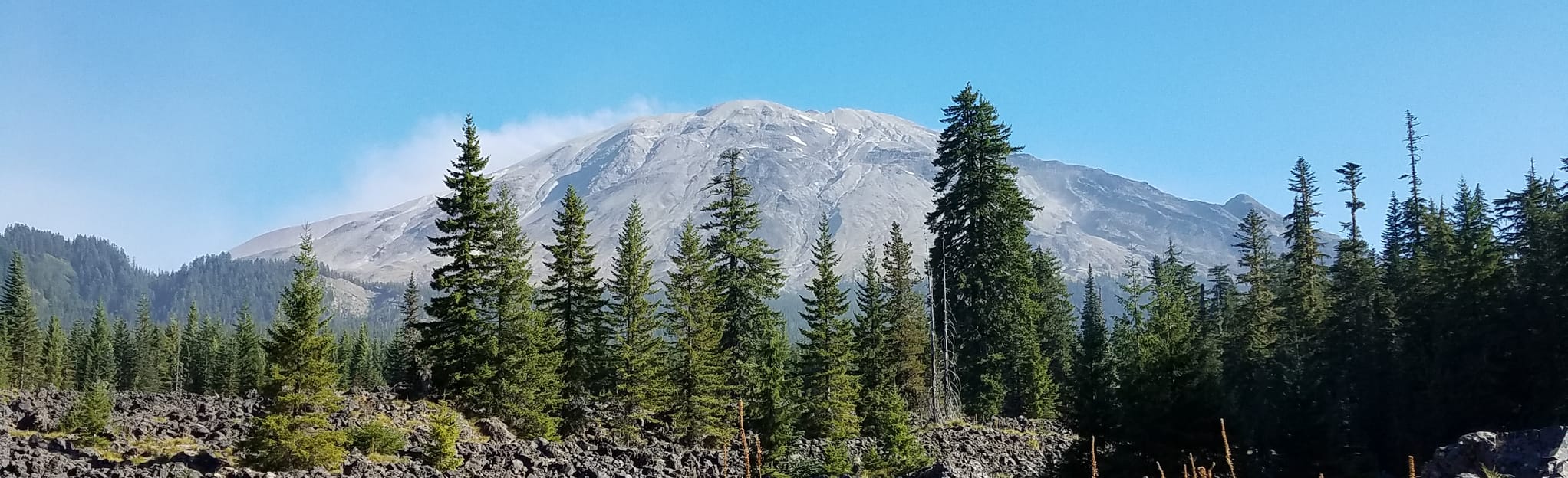 Blue Lake Horse Trail and Toutle Loop: 9 Reviews, Map - Washington ...