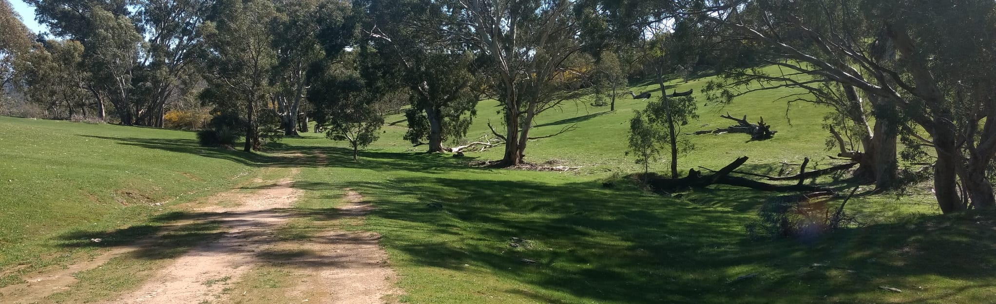 Para Wirra to Rocky Paddock Campground : 98 Photos - Australie ...