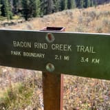 Bacon Rind Creek Trail, Montana - 87 Reviews, Map | AllTrails