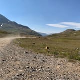 Alpine Loop OHV Loop, Colorado - 120 Reviews, Map | AllTrails