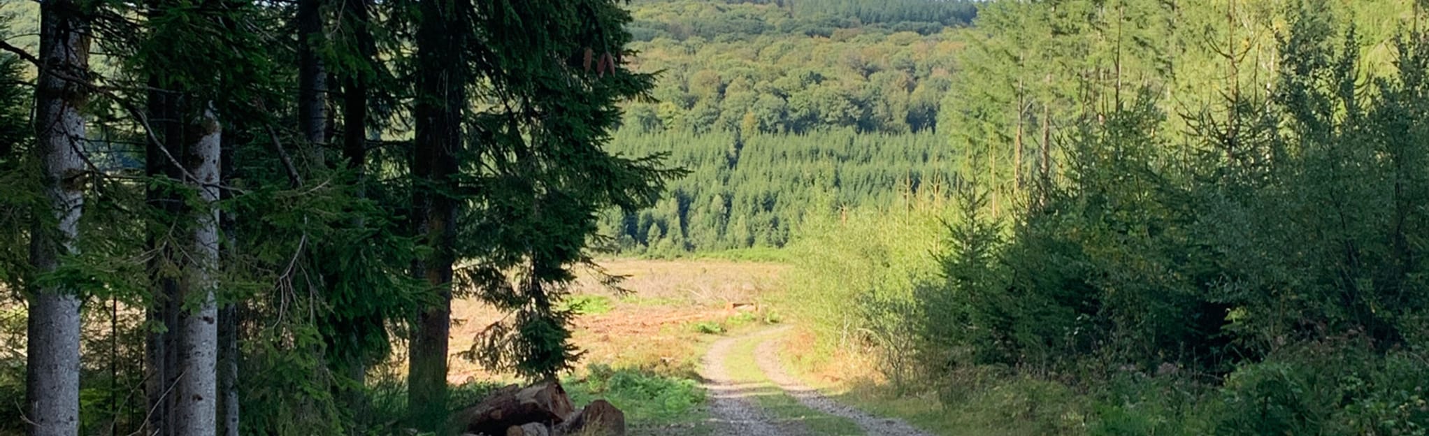 Autour du Thier du Mont depuis Libramont, Luxembourg, Belgium - 22 ...